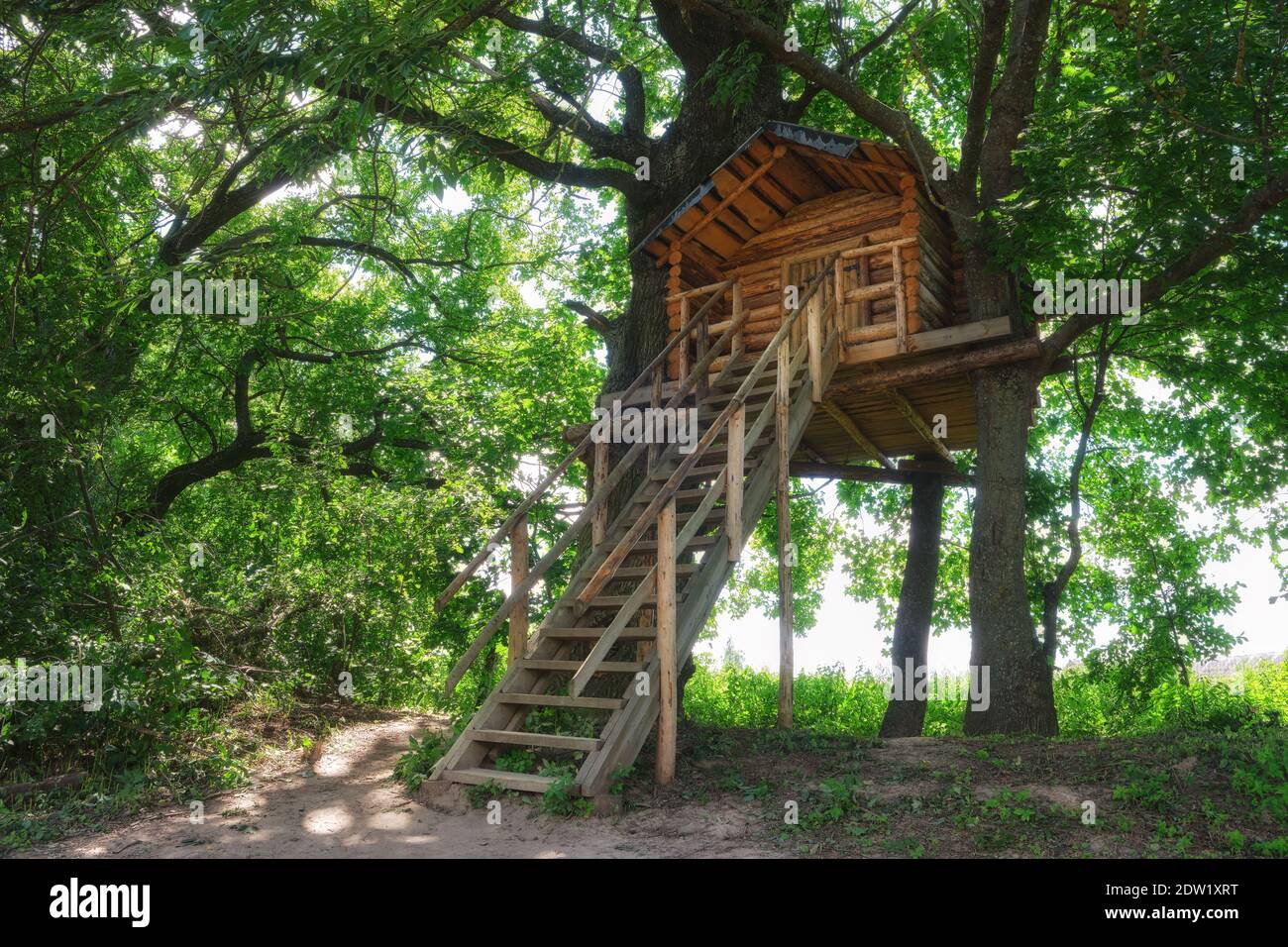 Tree house. Wooden house are built on trees in forest or garden Stock ...