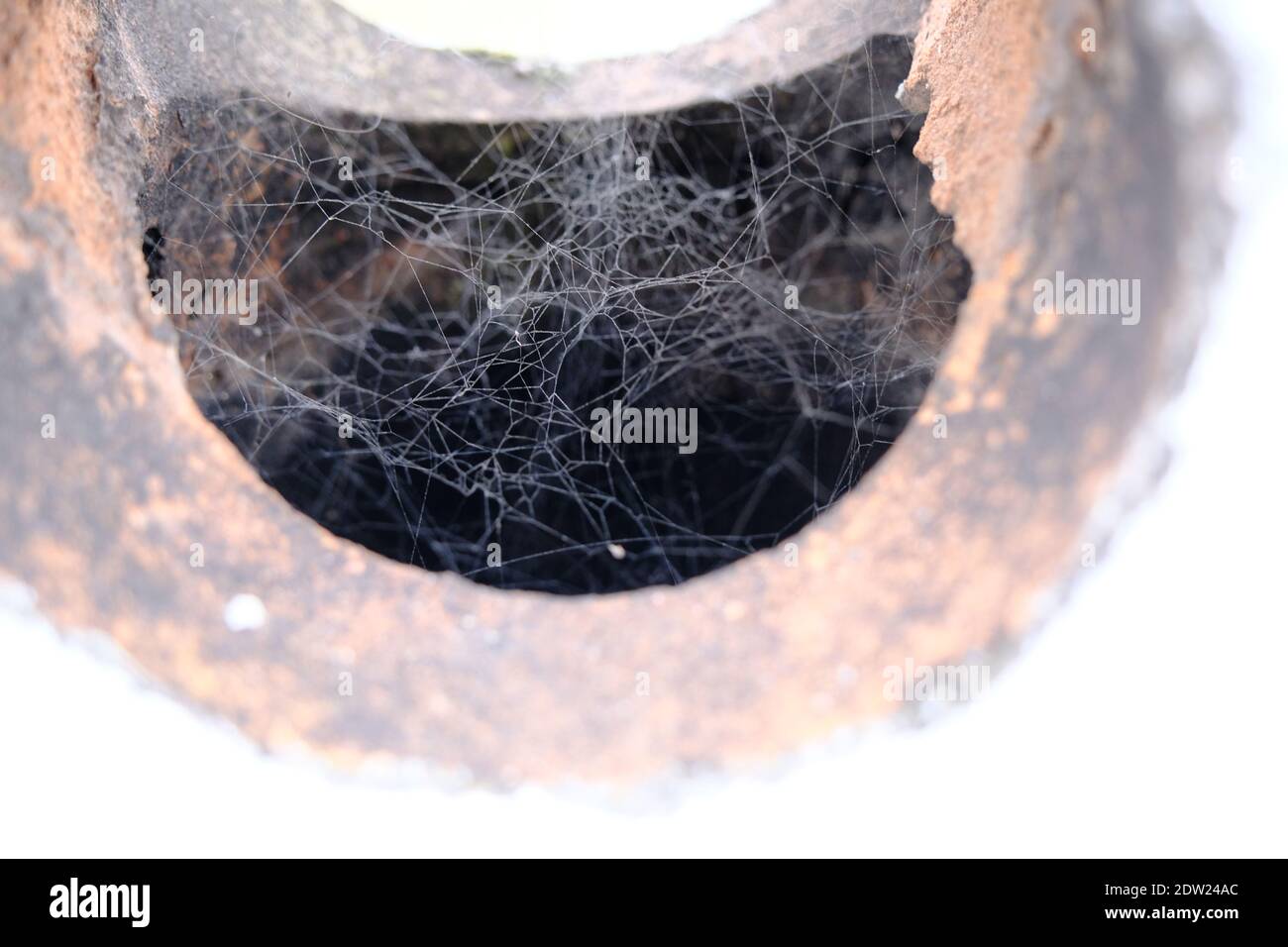 Spider web inside the chimney. Web inside the dark side of the hole ...