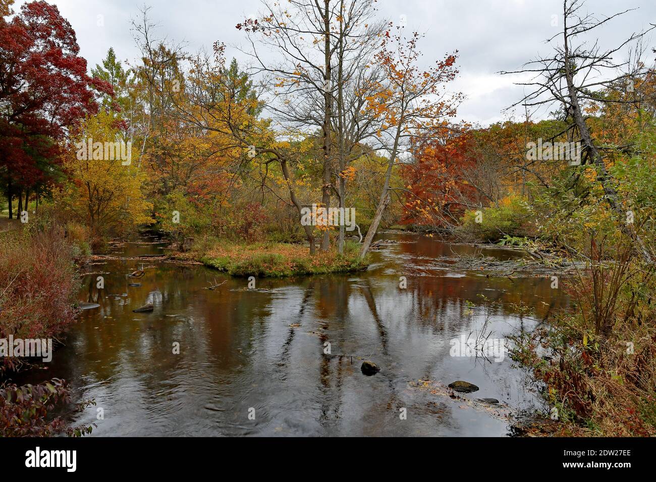 Slow moving creek with overhanging trees in autumn colors Stock Photo ...
