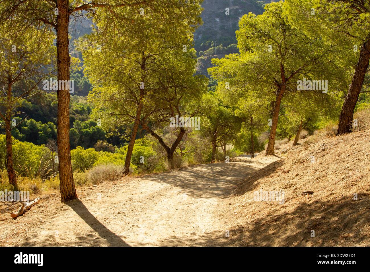 Camino del Rey / Hiking in Spain Stock Photo - Alamy