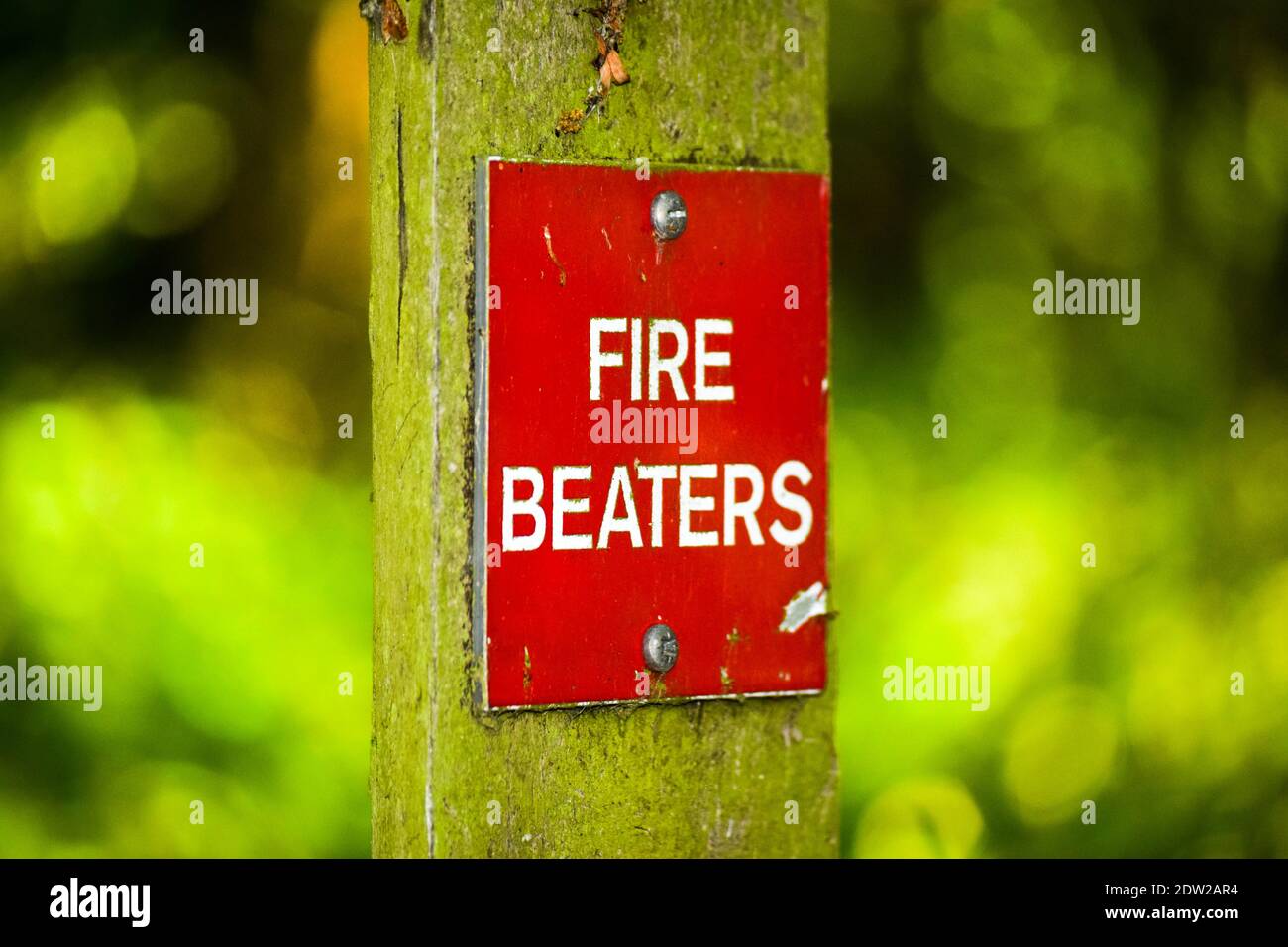 Beaters day hi-res stock photography and images - Alamy