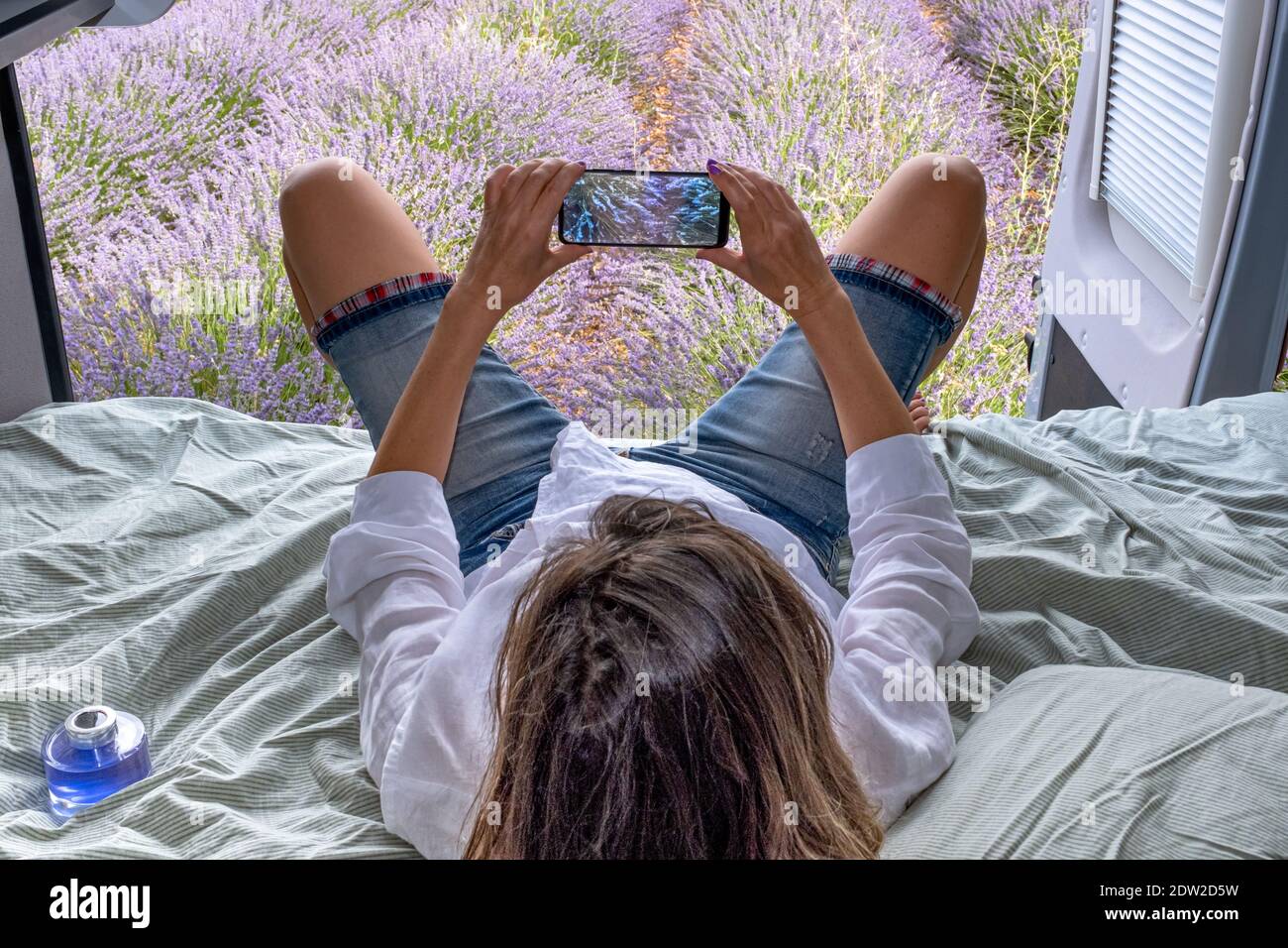 In the lavender fields, in a caravan photographing the flowers Stock ...