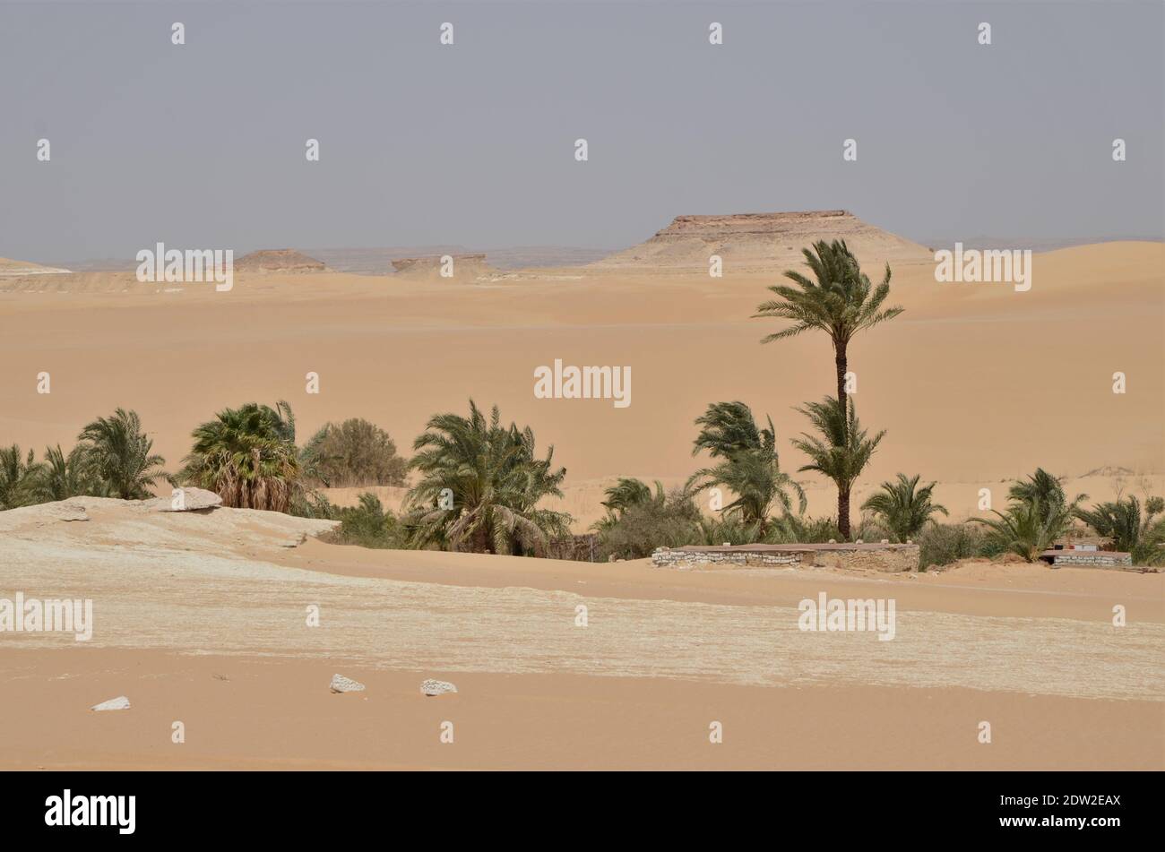 Siwa people water hi-res stock photography and images - Alamy