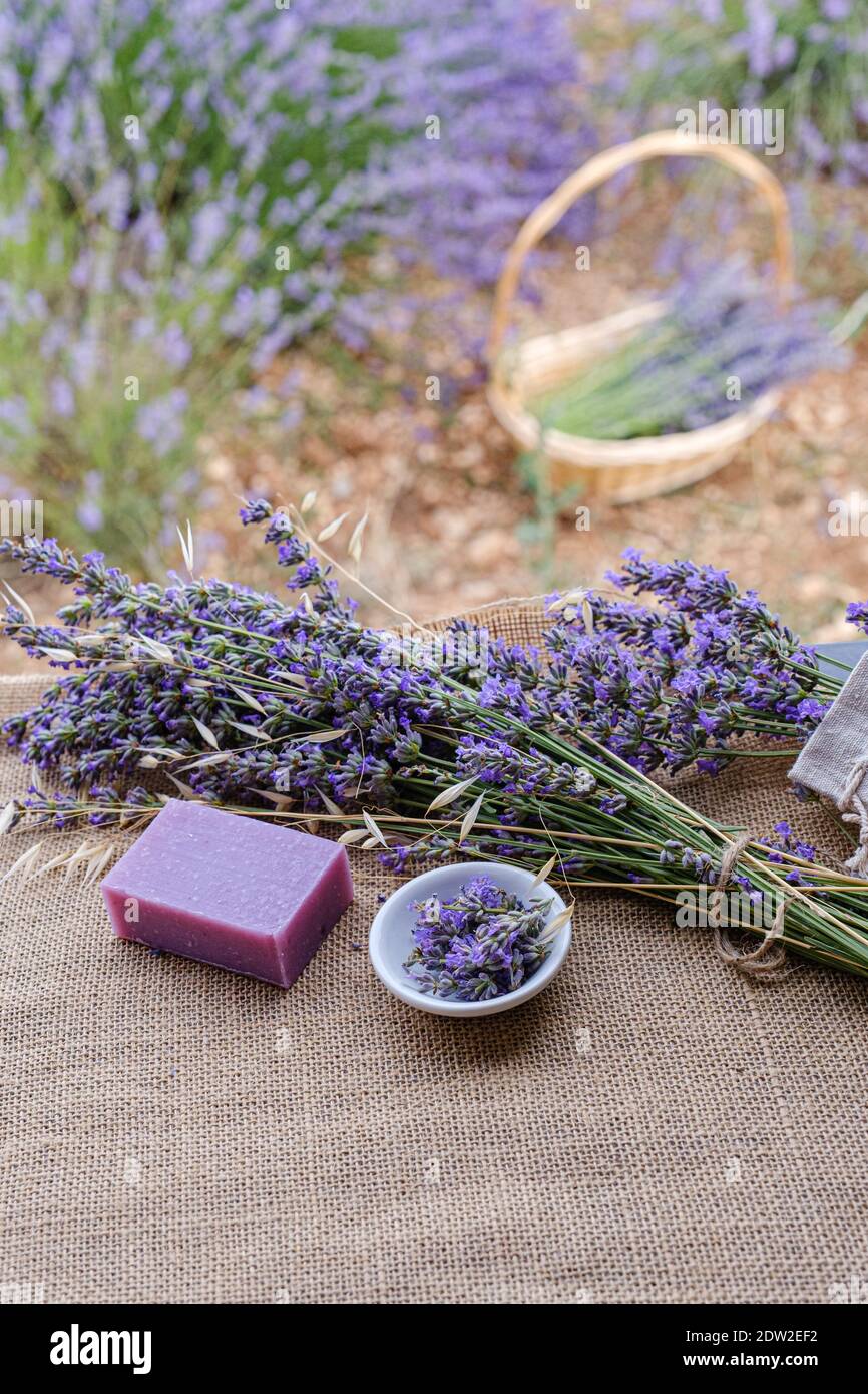 Therapeutic flower hi-res stock photography and images - Alamy