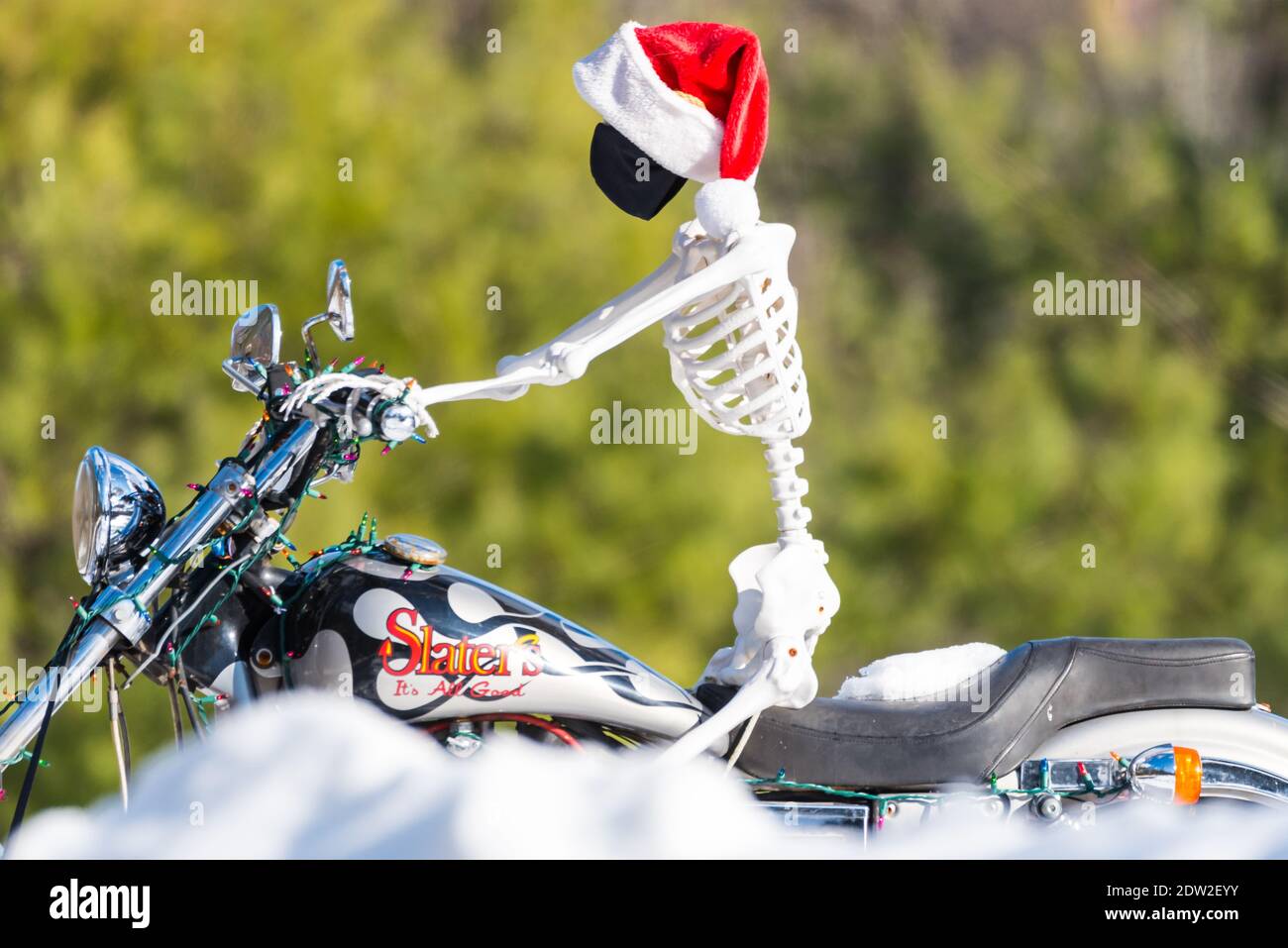 Skeleton sitting on a motorcycle and wearing a black covid mask Stock ...