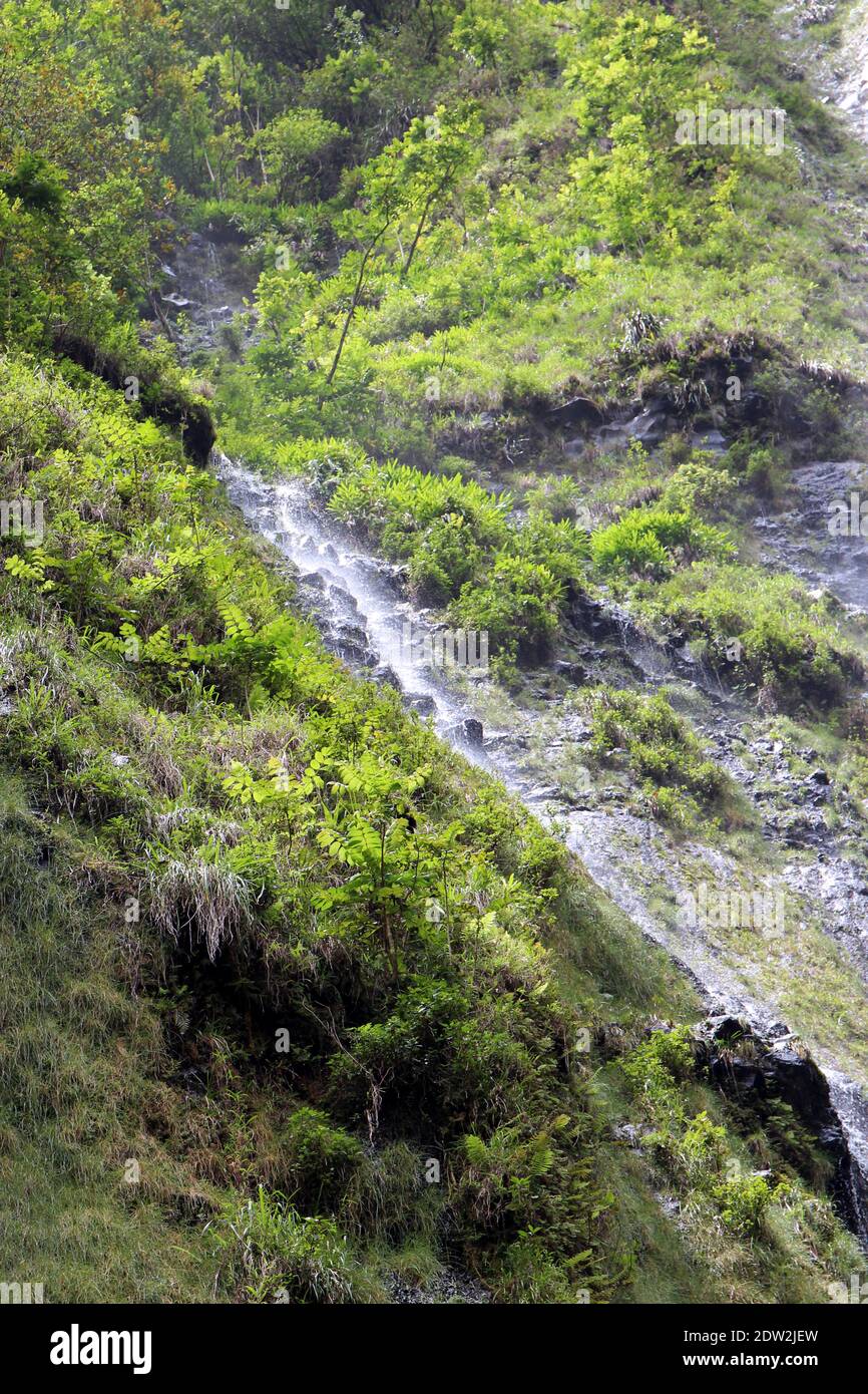 Small green trees side waterfall hi-res stock photography and images ...