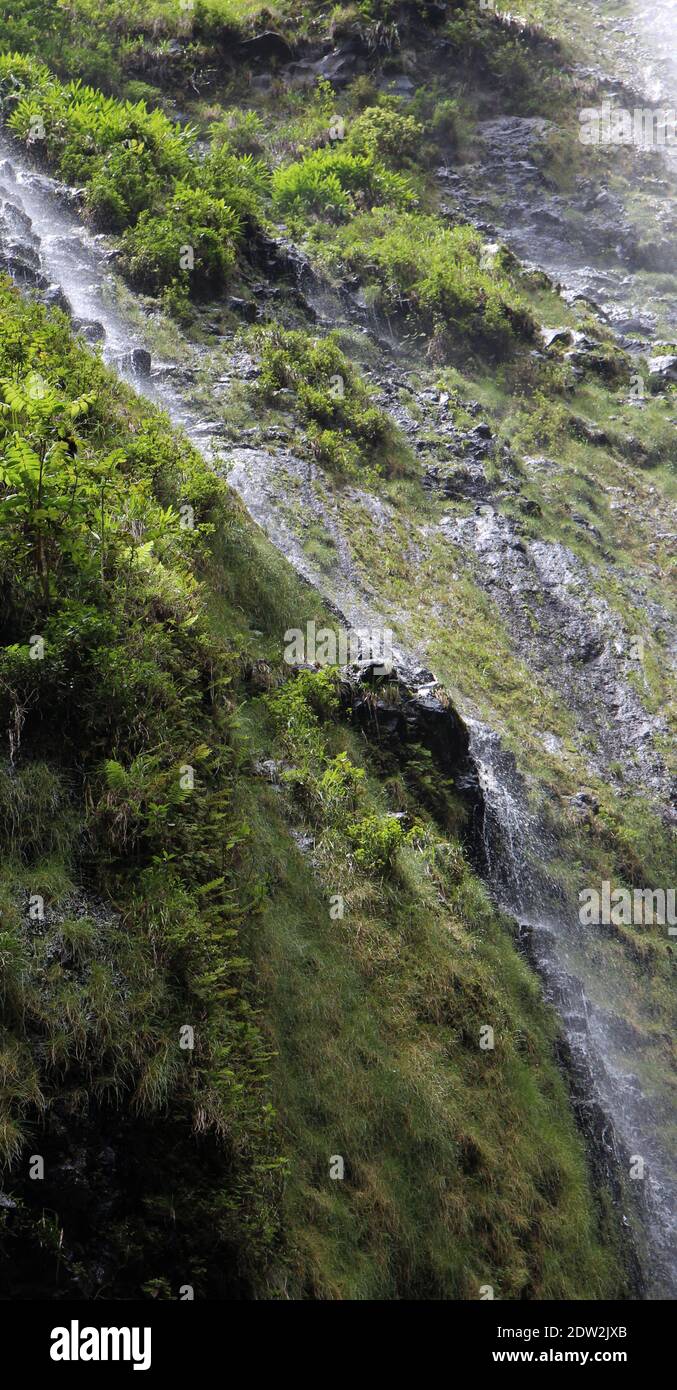 A small waterfall streaming down a volcanic rocky cliffside in a ...