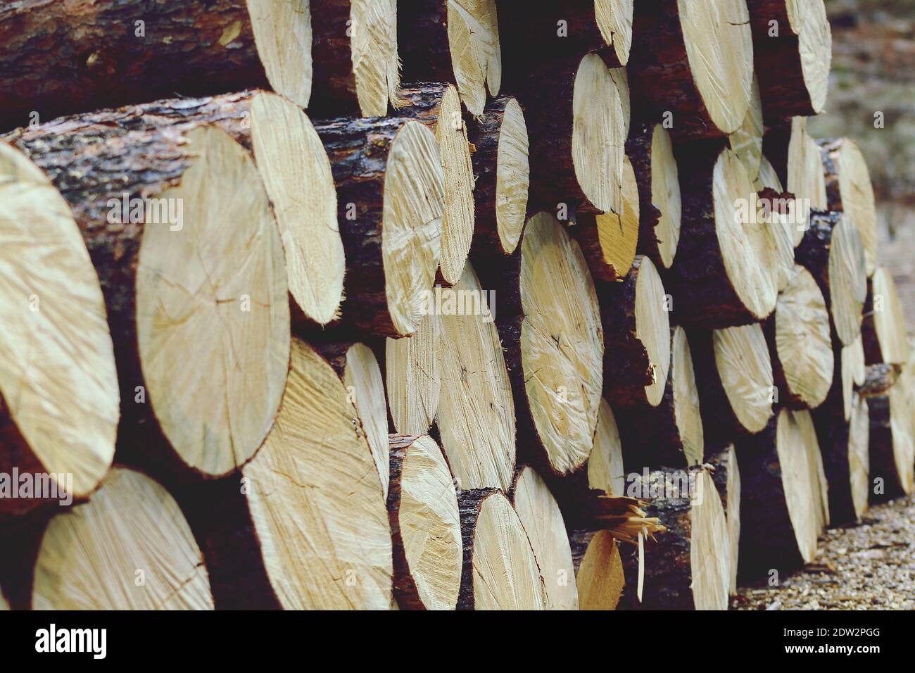 Wood frame fire station hi-res stock photography and images - Alamy