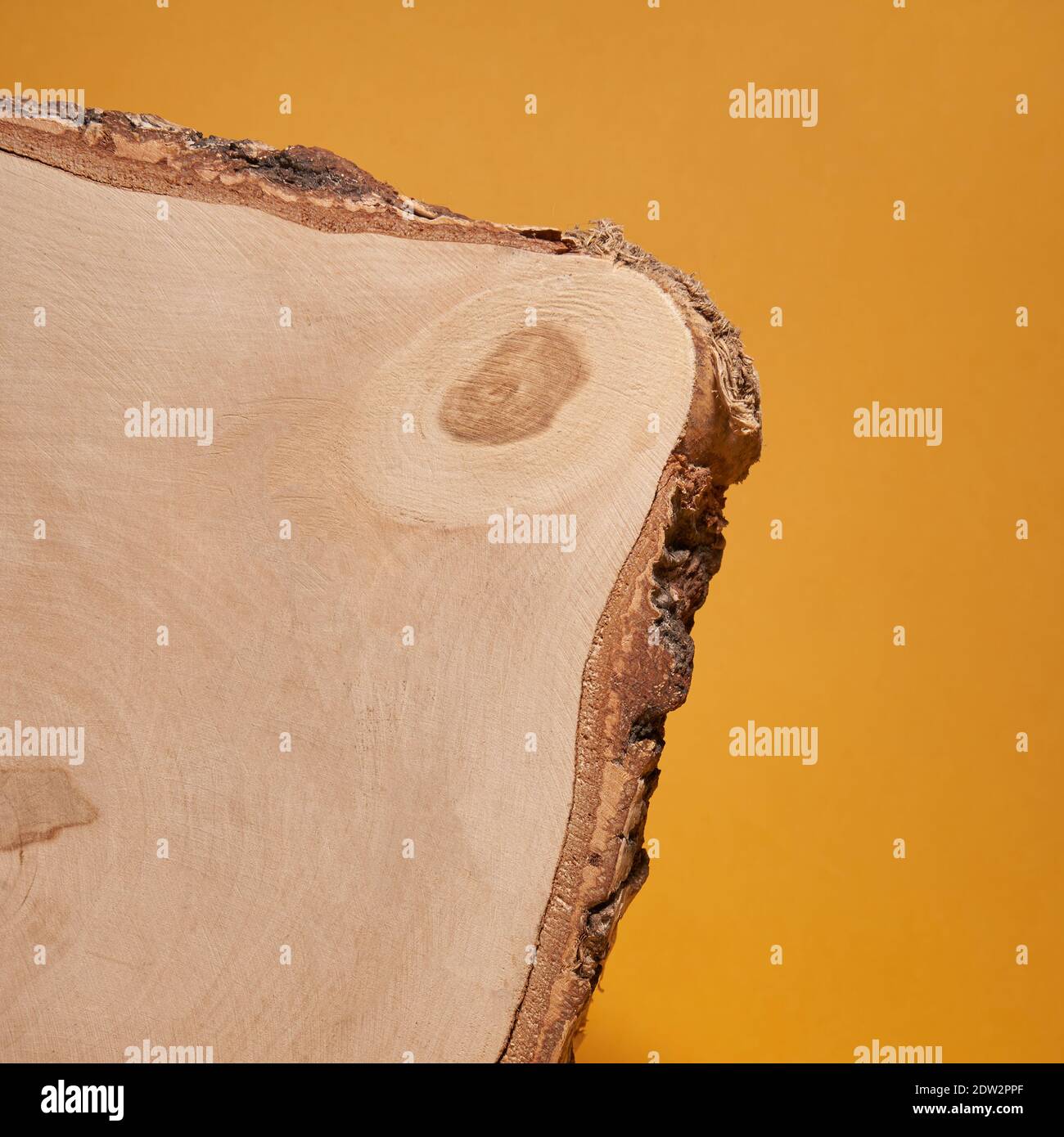 Cut birch texture on a bright yellow background, natural materials ...