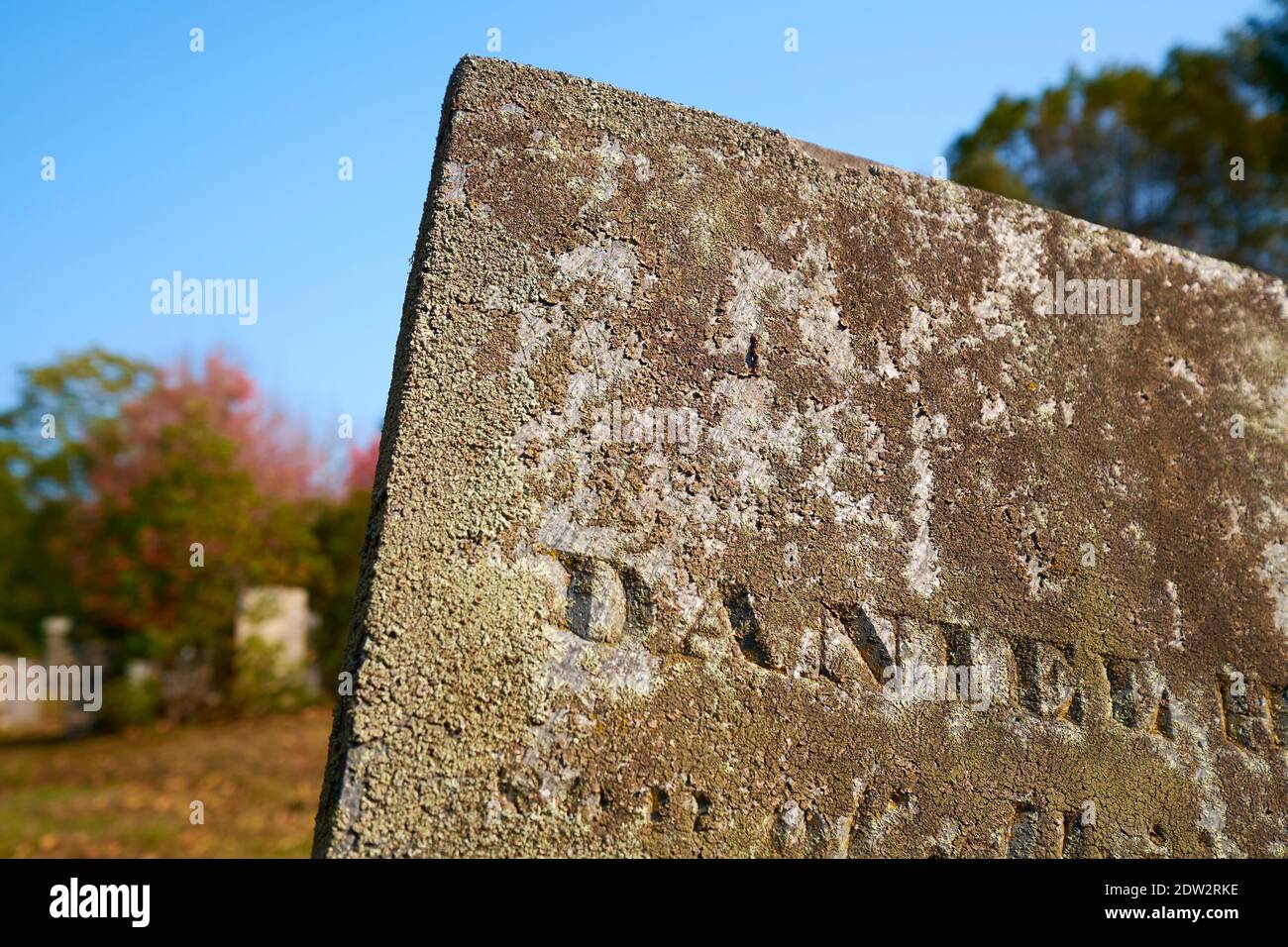 Detail of a plain, old slab stone grave, covered in moss and lichen. At ...