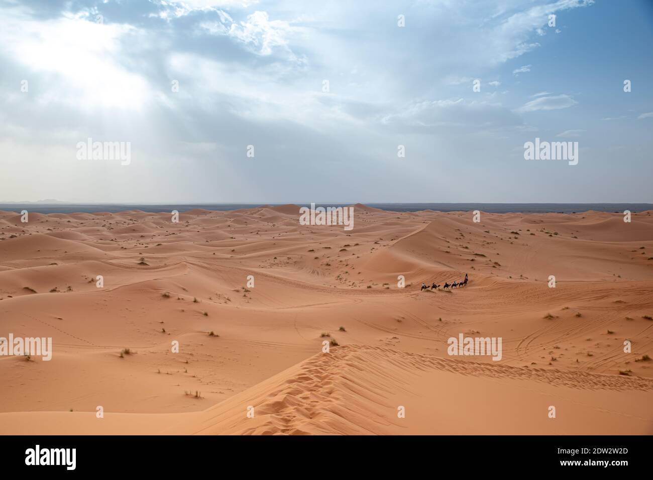 Sahara Desert in Marrakech, Morocco Stock Photo - Alamy