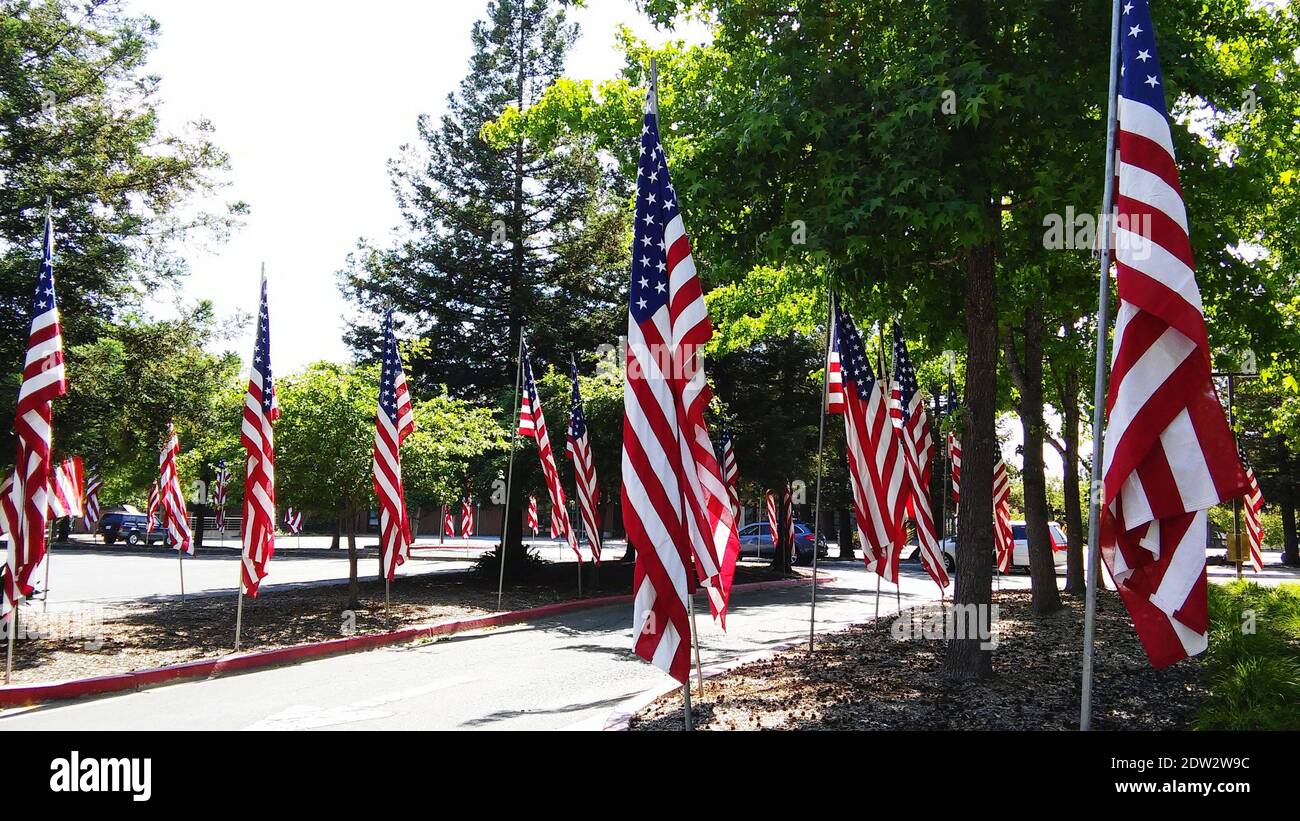 Avenue Of Flags Stock Photo - Alamy