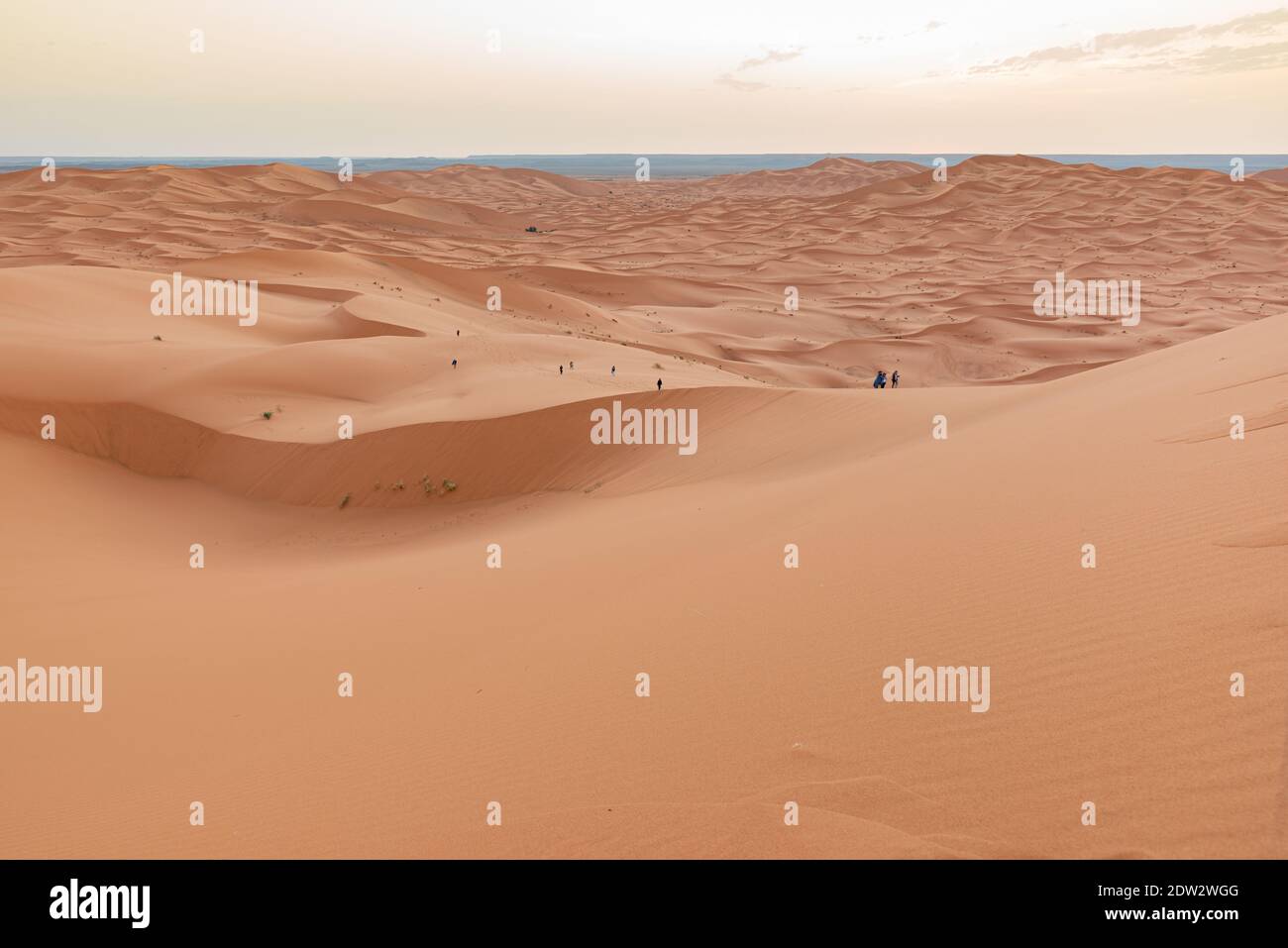 Sahara Desert in Marrakech, Morocco Stock Photo - Alamy