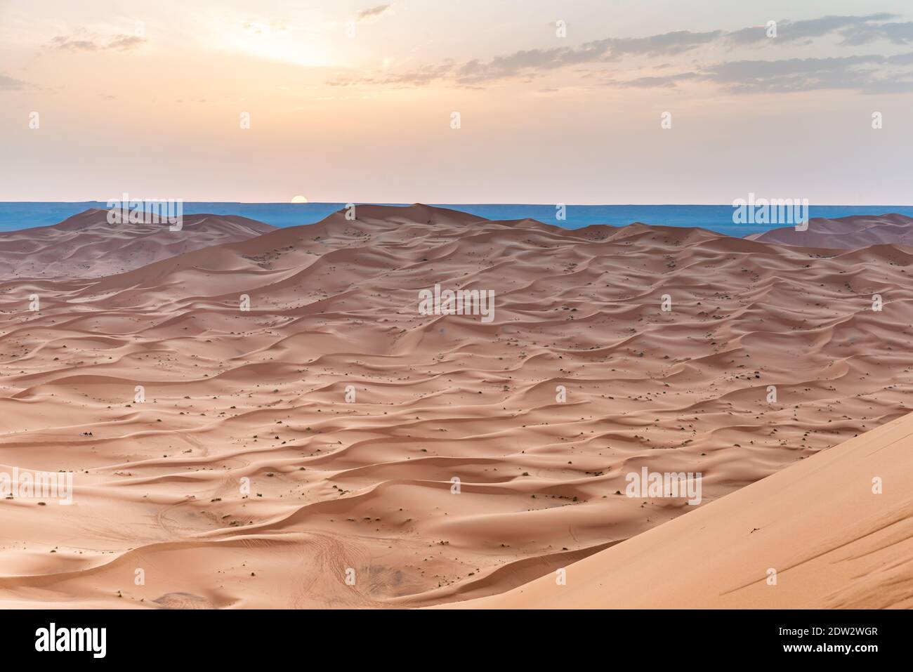 Sahara Desert in Marrakech, Morocco Stock Photo - Alamy