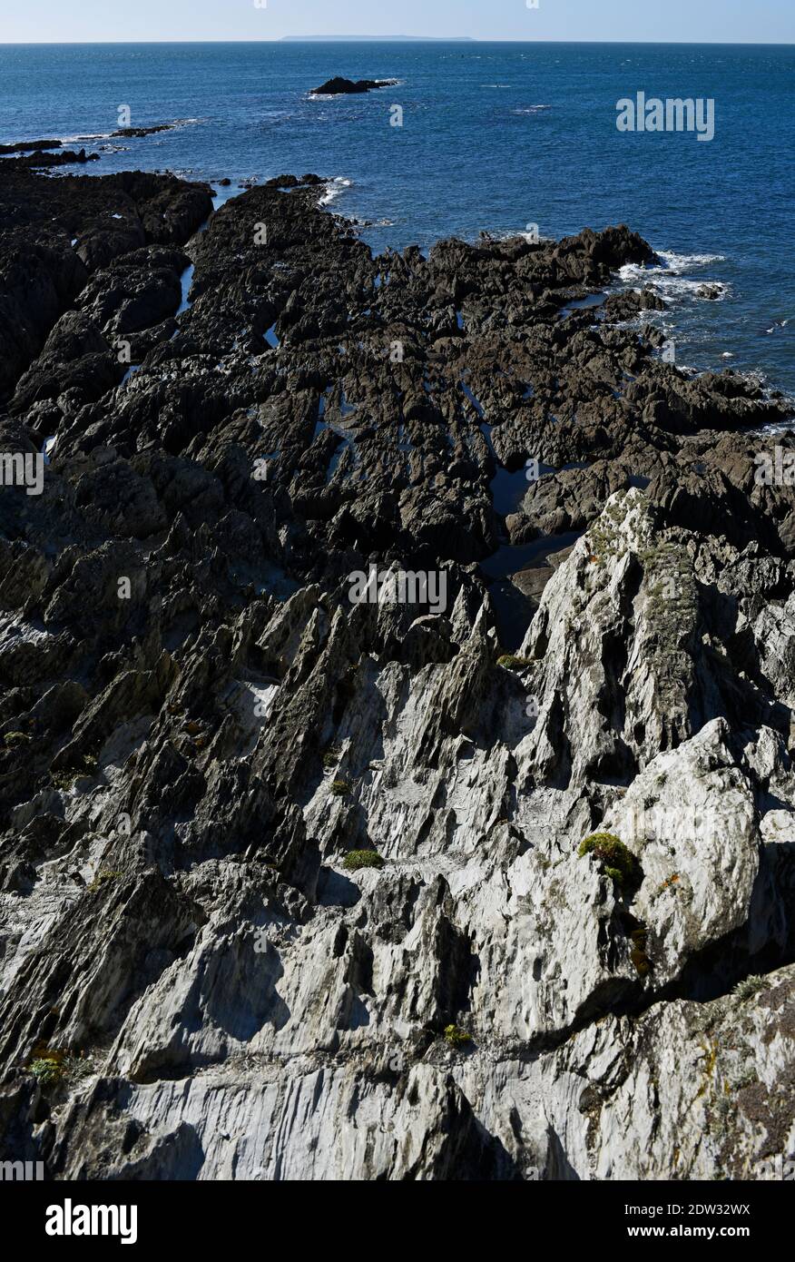 The jagged tip of Morte Point, Morthoe, North Devon, England Stock ...