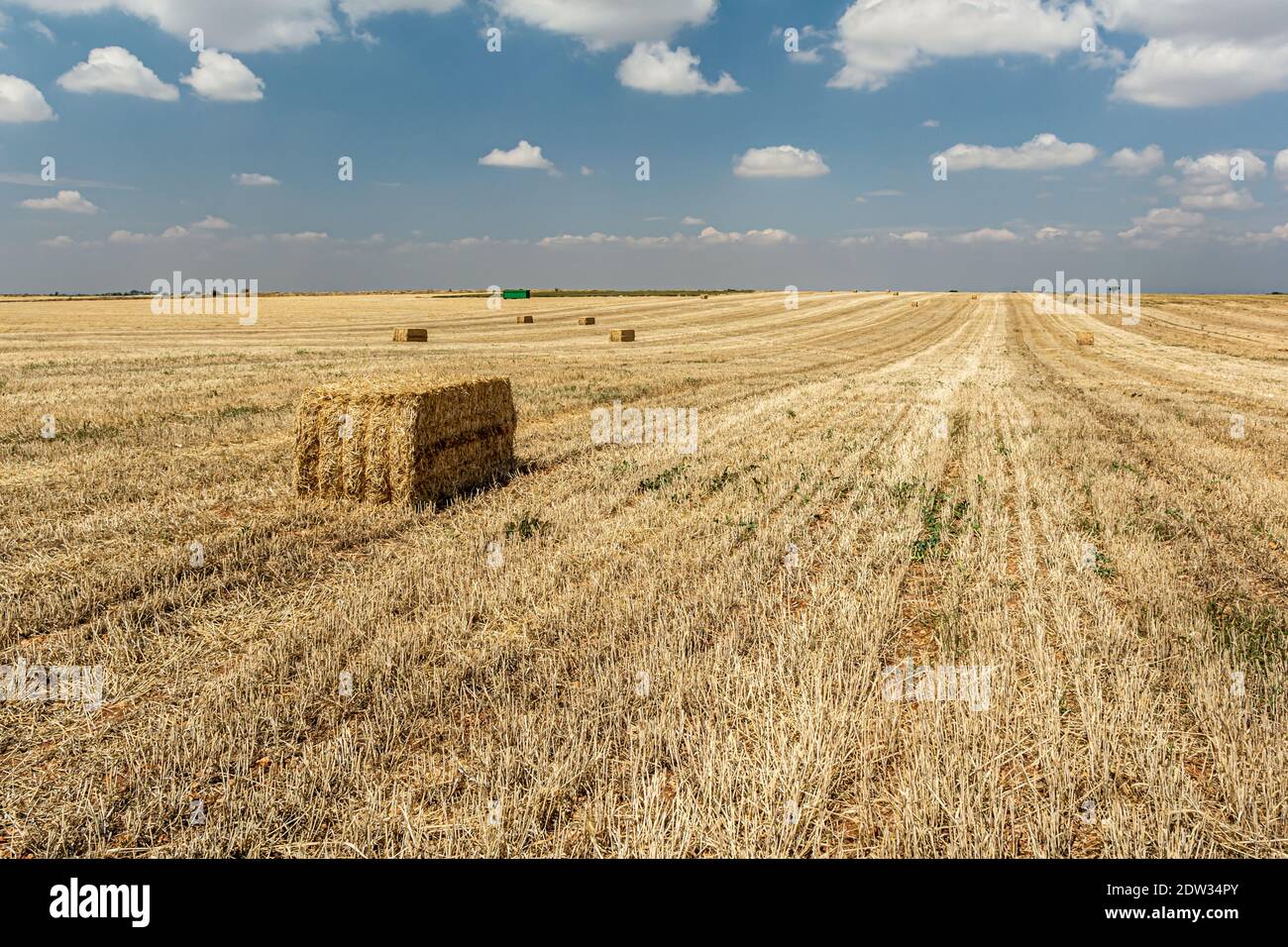 Straw harvesting in the field Stock Photo - Alamy