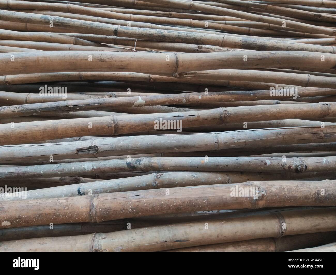 Bamboo damage hi-res stock photography and images - Alamy