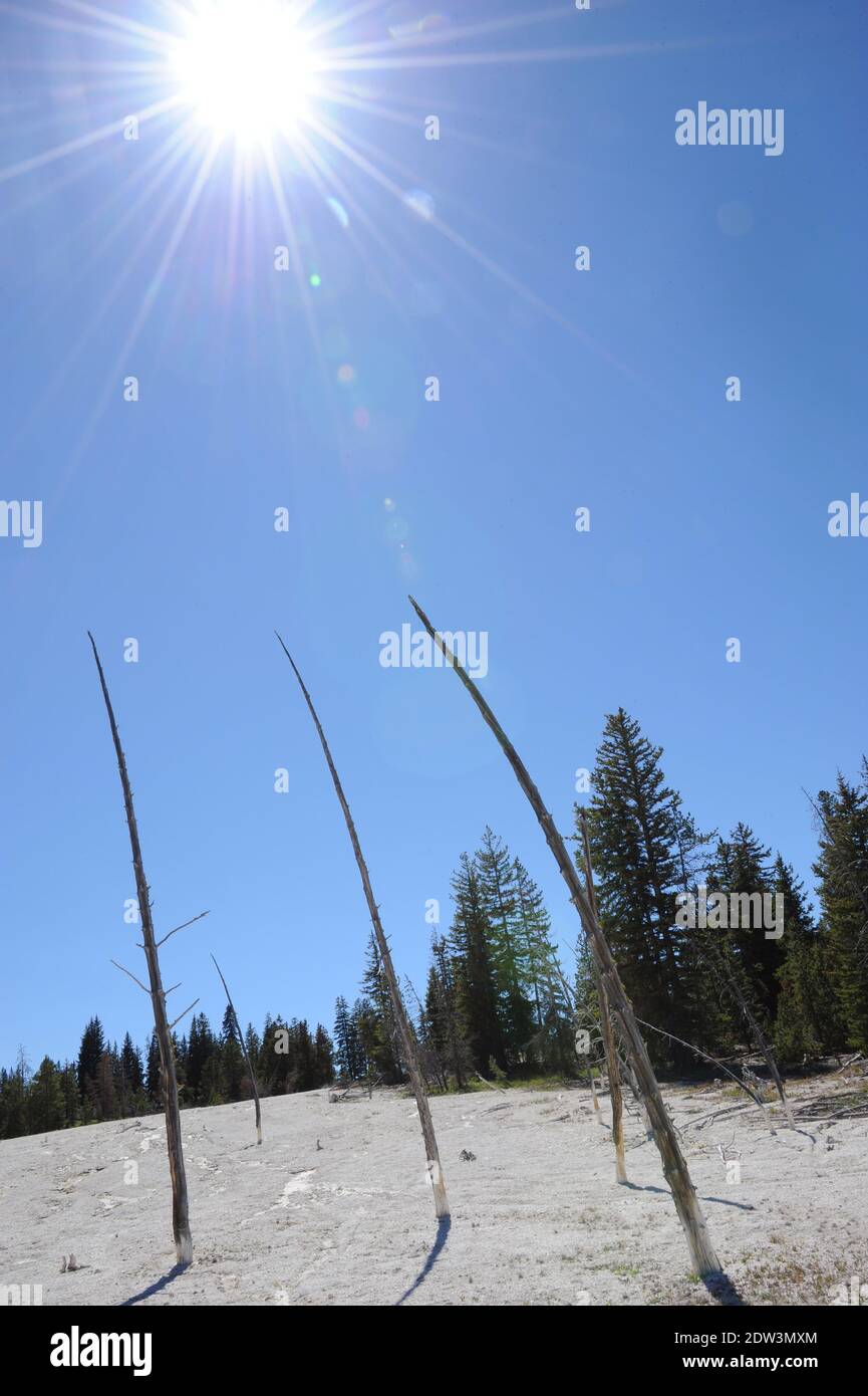 Yellowstone is a super volcano hi-res stock photography and images - Alamy