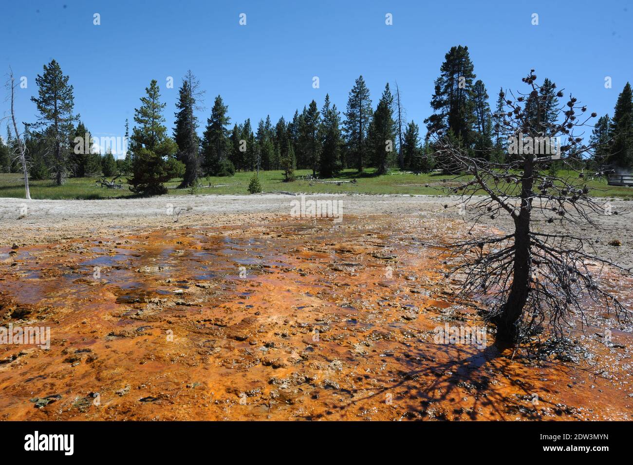 Yellowstone is a super volcano hi-res stock photography and images - Alamy