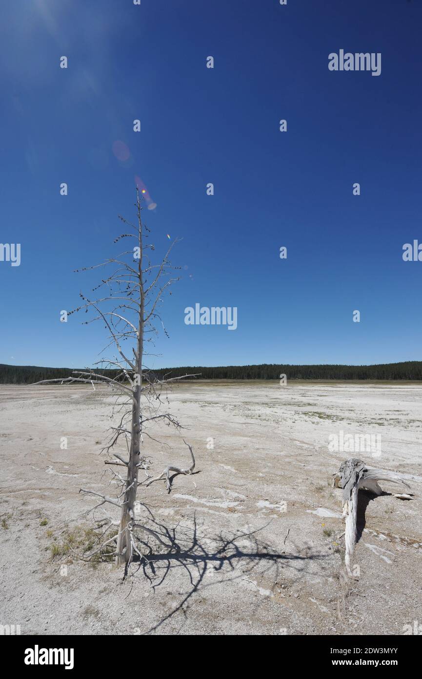 Yellowstone super volcano erupting hi-res stock photography and images ...