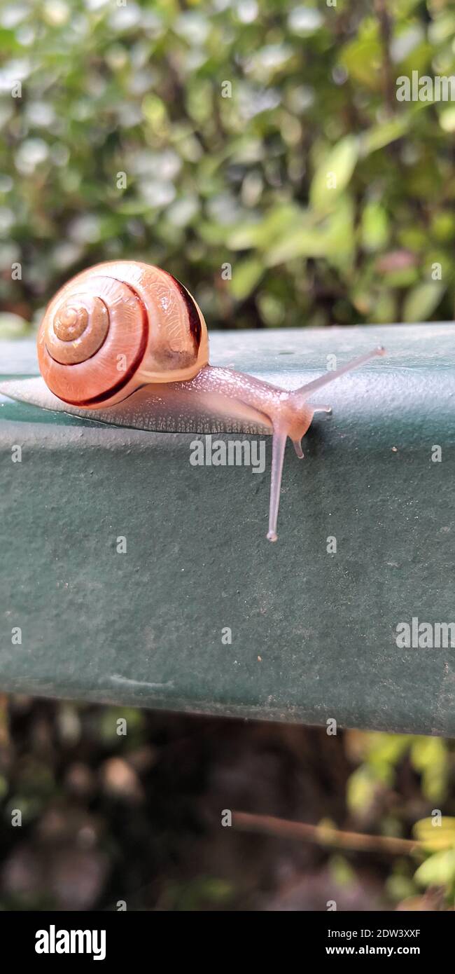 Metal slug hi-res stock photography and images - Alamy