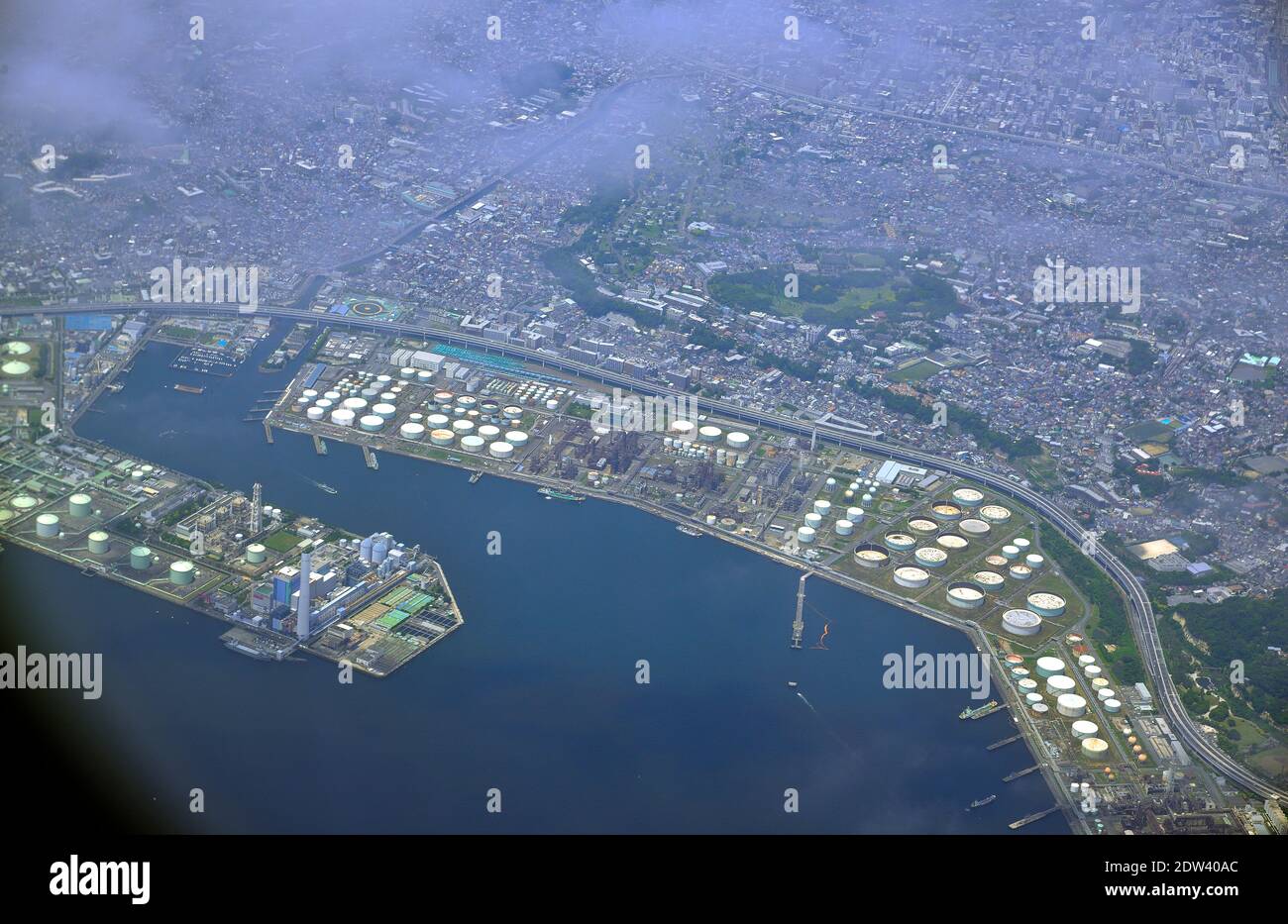 Negishi High Resolution Stock Photography and Images - Alamy