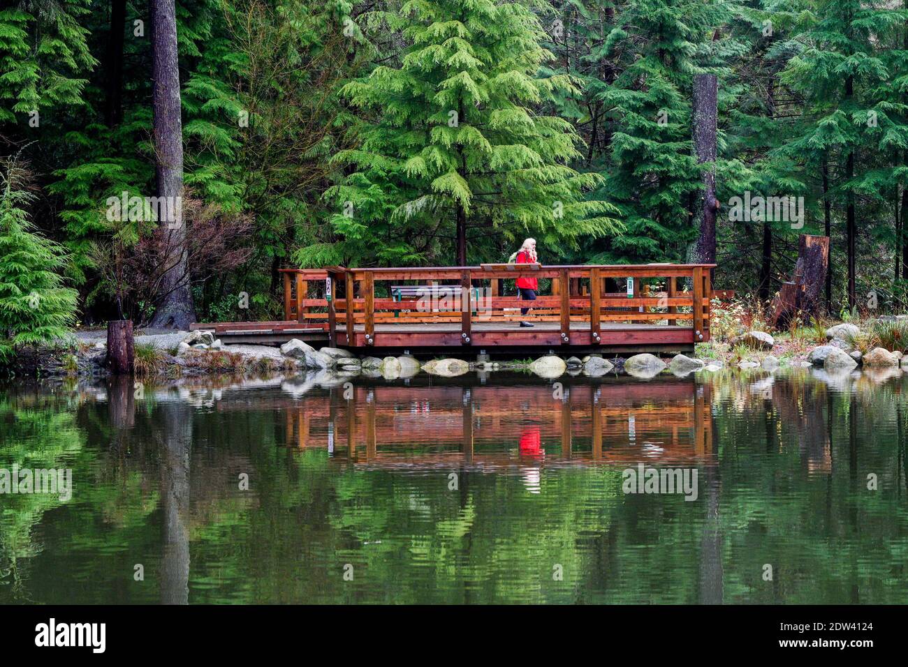 Pond viewing platform, Murdo Frazer Park, District of North Vancouver ...