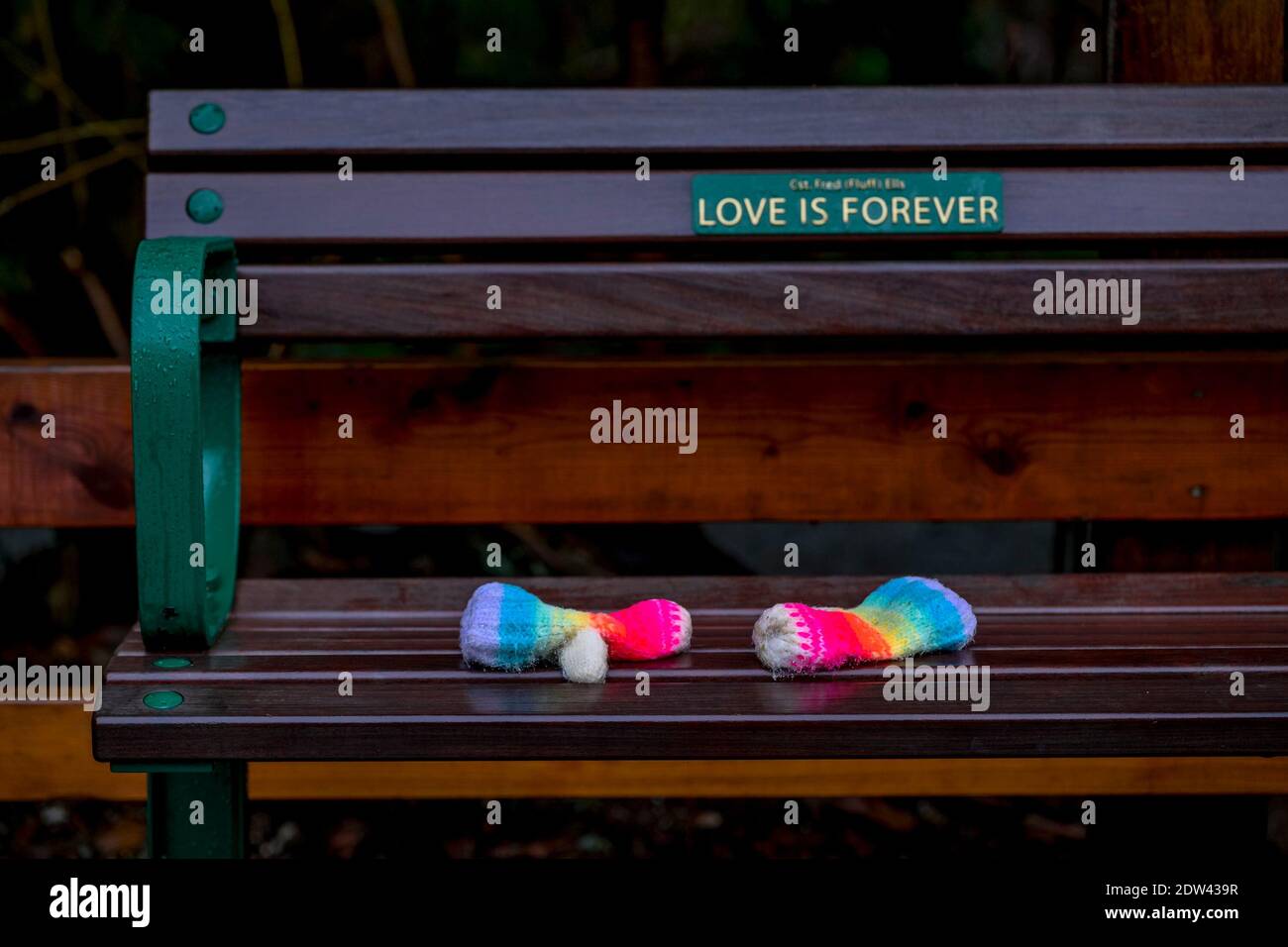 Lost mittens on park bench Stock Photo - Alamy