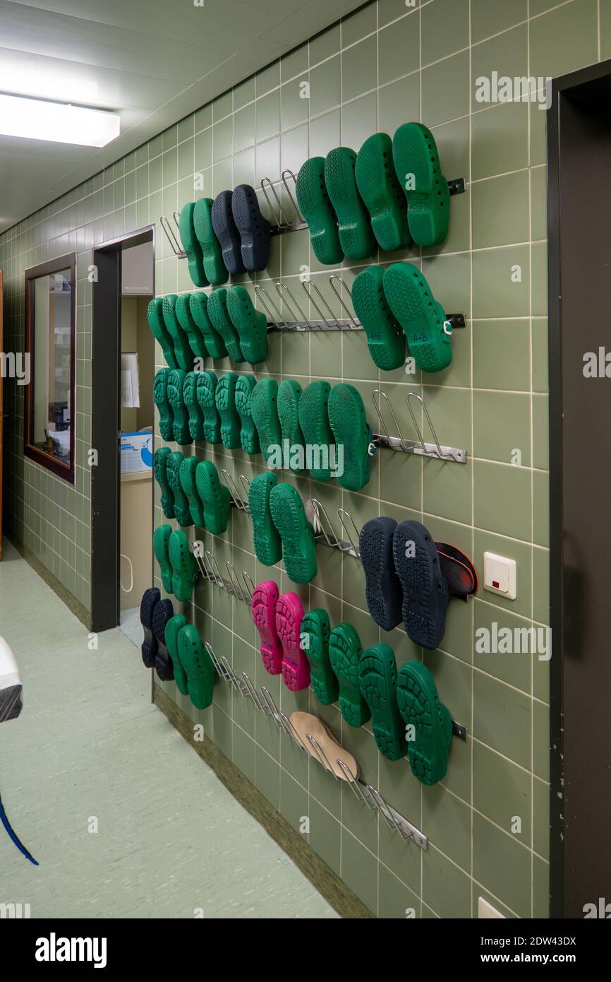 on an operating room corridor there is a wall with surgical shoes for ...