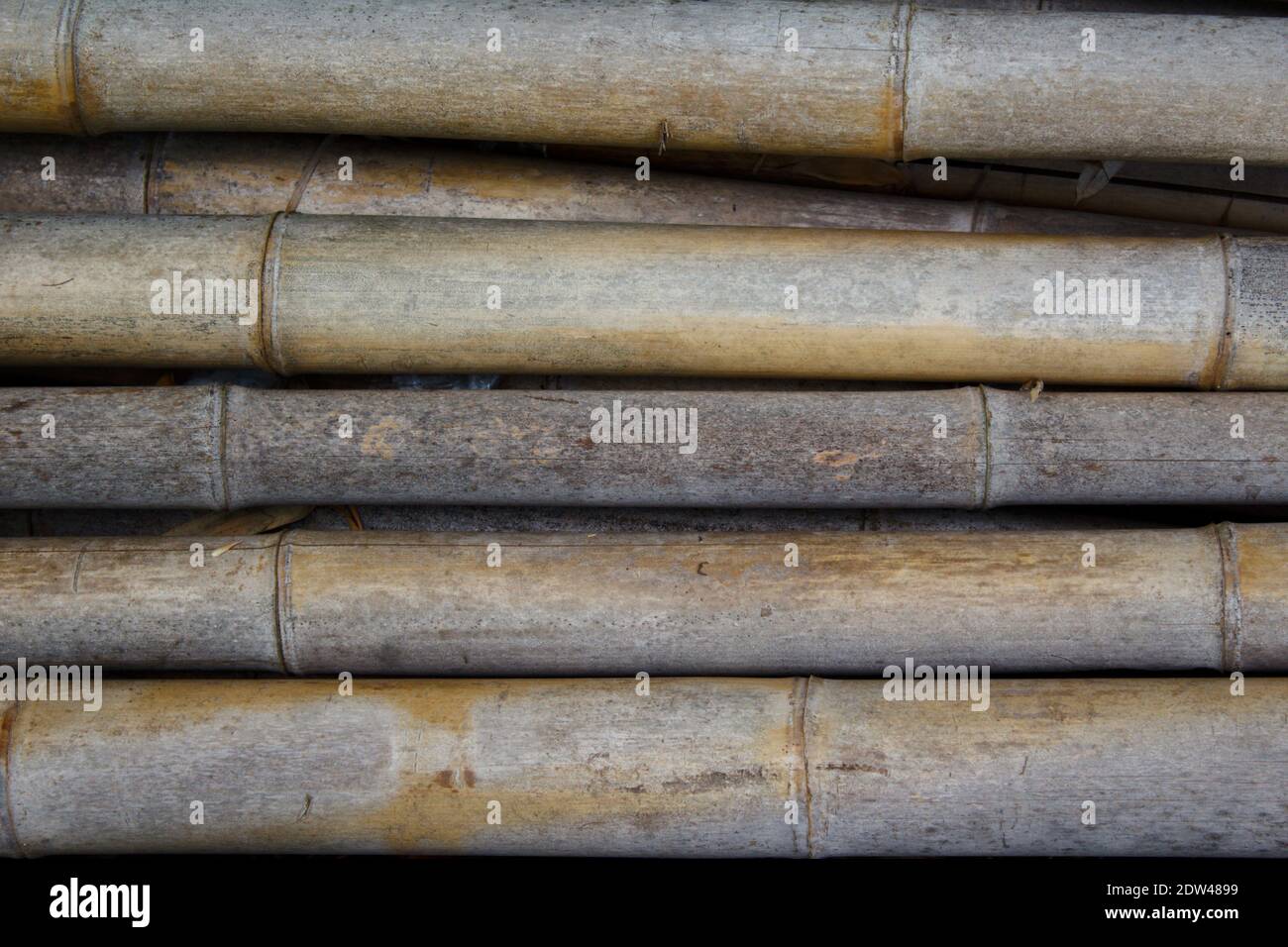 surface of reeds for background and texture Stock Photo - Alamy