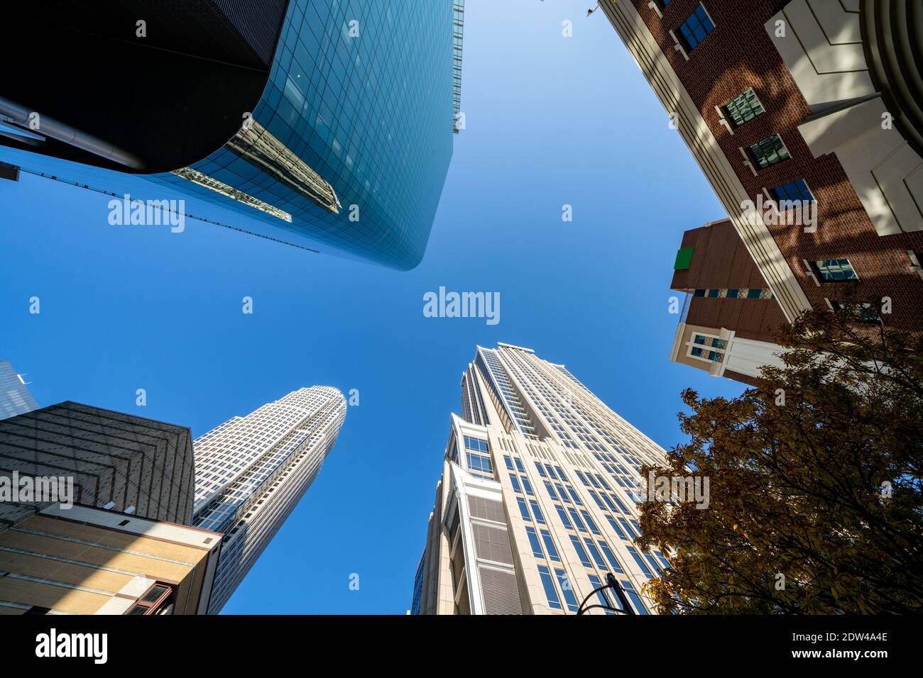Low angle city view hi-res stock photography and images - Alamy