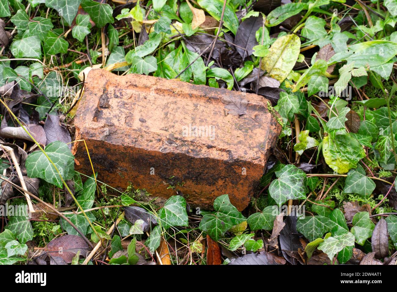 Old discarded house brick on ivy Stock Photo - Alamy
