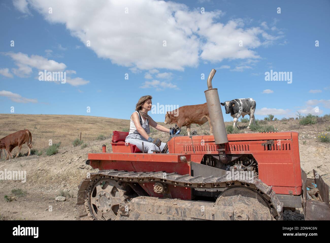 Woman farmer driving a tractor Stock Photo - Alamy