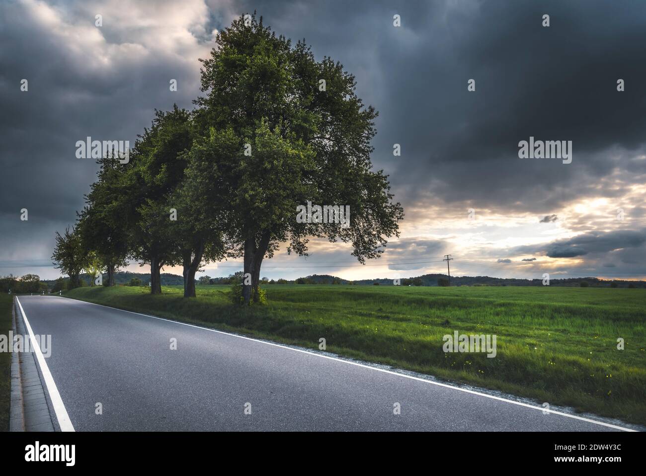 Empty Road With Trees High Resolution Stock Photography and Images - Alamy