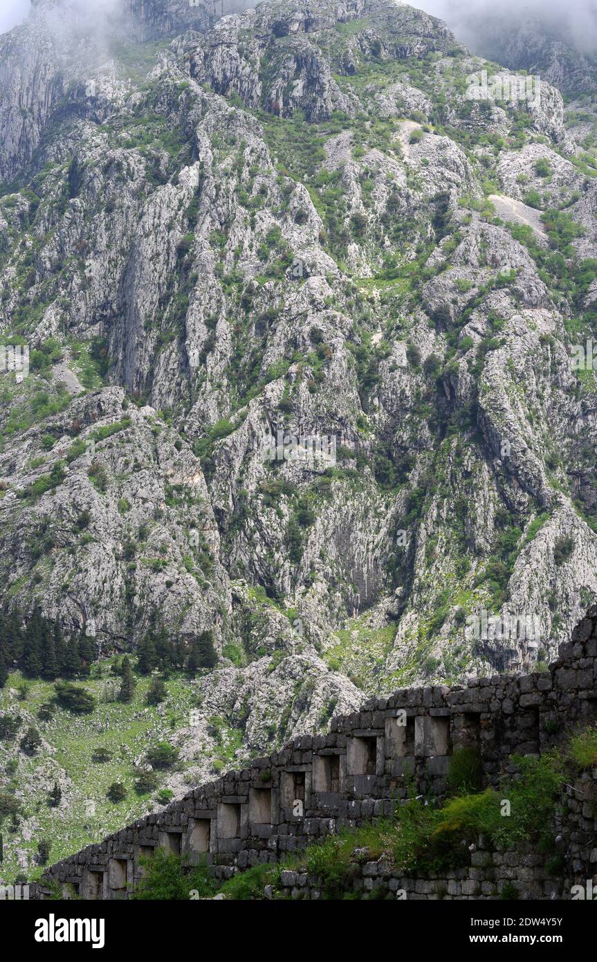 Balkan plants hi-res stock photography and images - Alamy