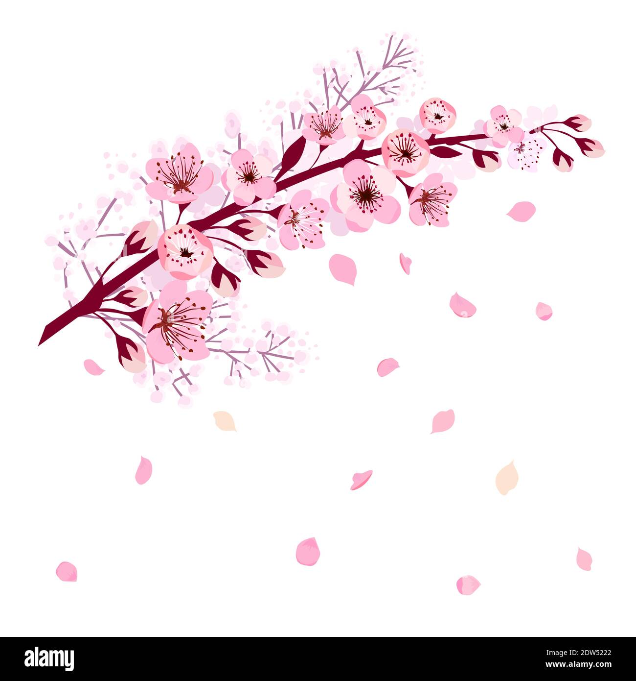 A branch of sakura with falling petals. Vector illustration Stock ...