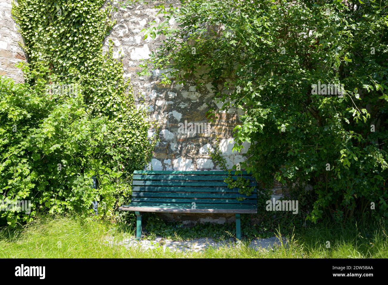 Wooden park bench on an sunny day Stock Photo - Alamy