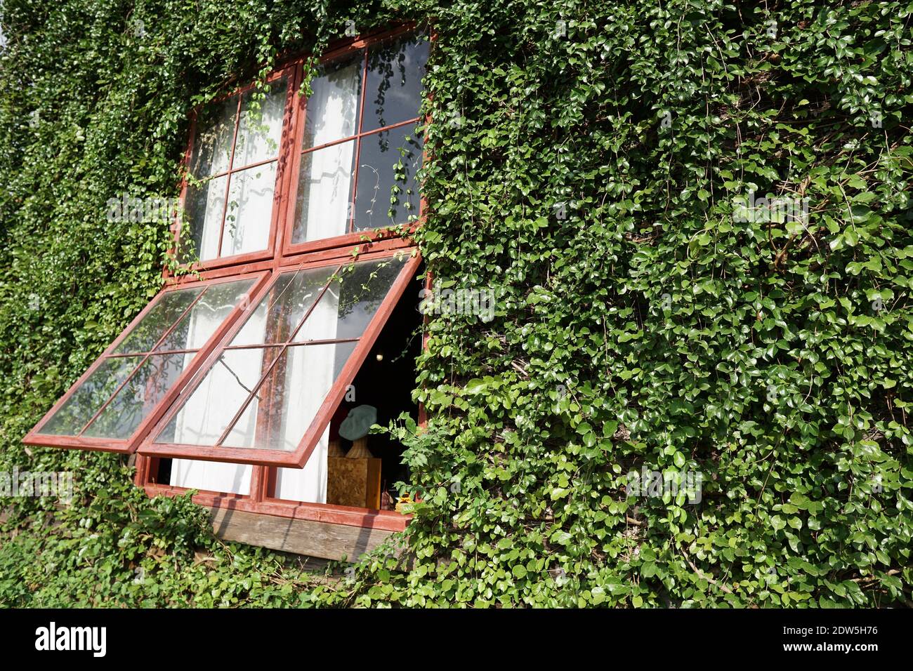 Ivy growing on abandoned building hi-res stock photography and images ...