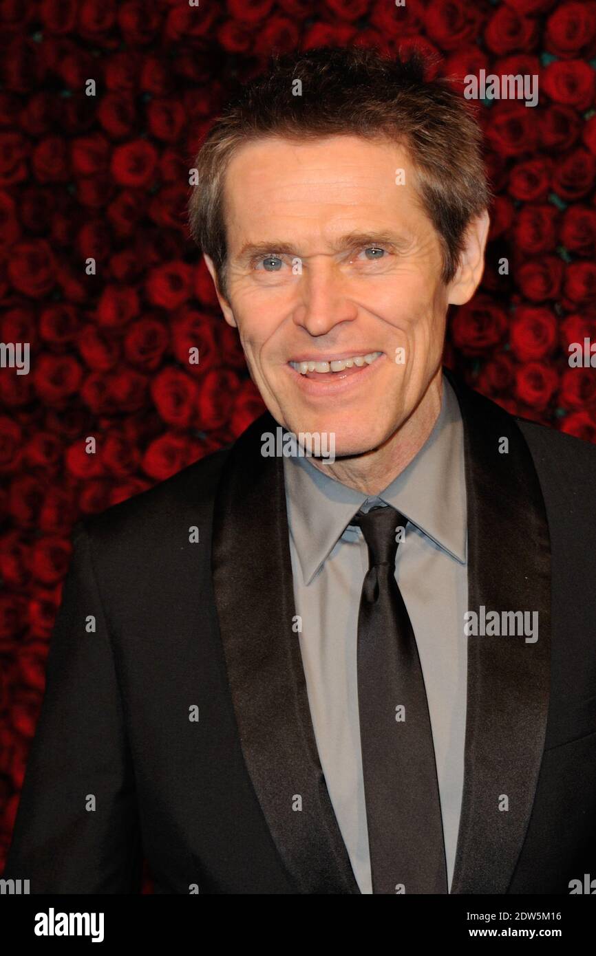 Willem Dafoe attending the 'Grace Of Monaco' after party at the 67th ...