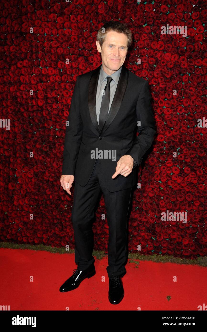 Willem Dafoe attending the 'Grace Of Monaco' after party at the 67th ...