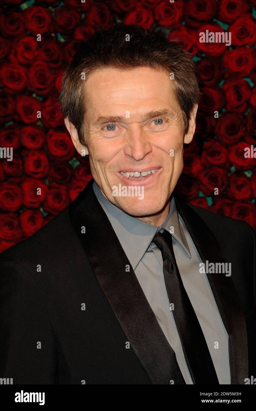 Willem Dafoe attending the 'Grace Of Monaco' after party at the 67th ...