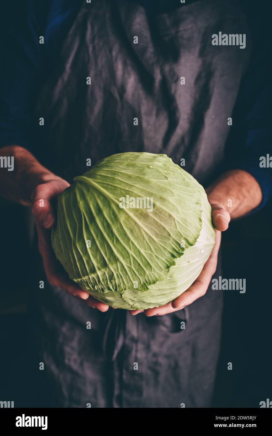 Hands holding head of cabbage hi-res stock photography and images - Alamy