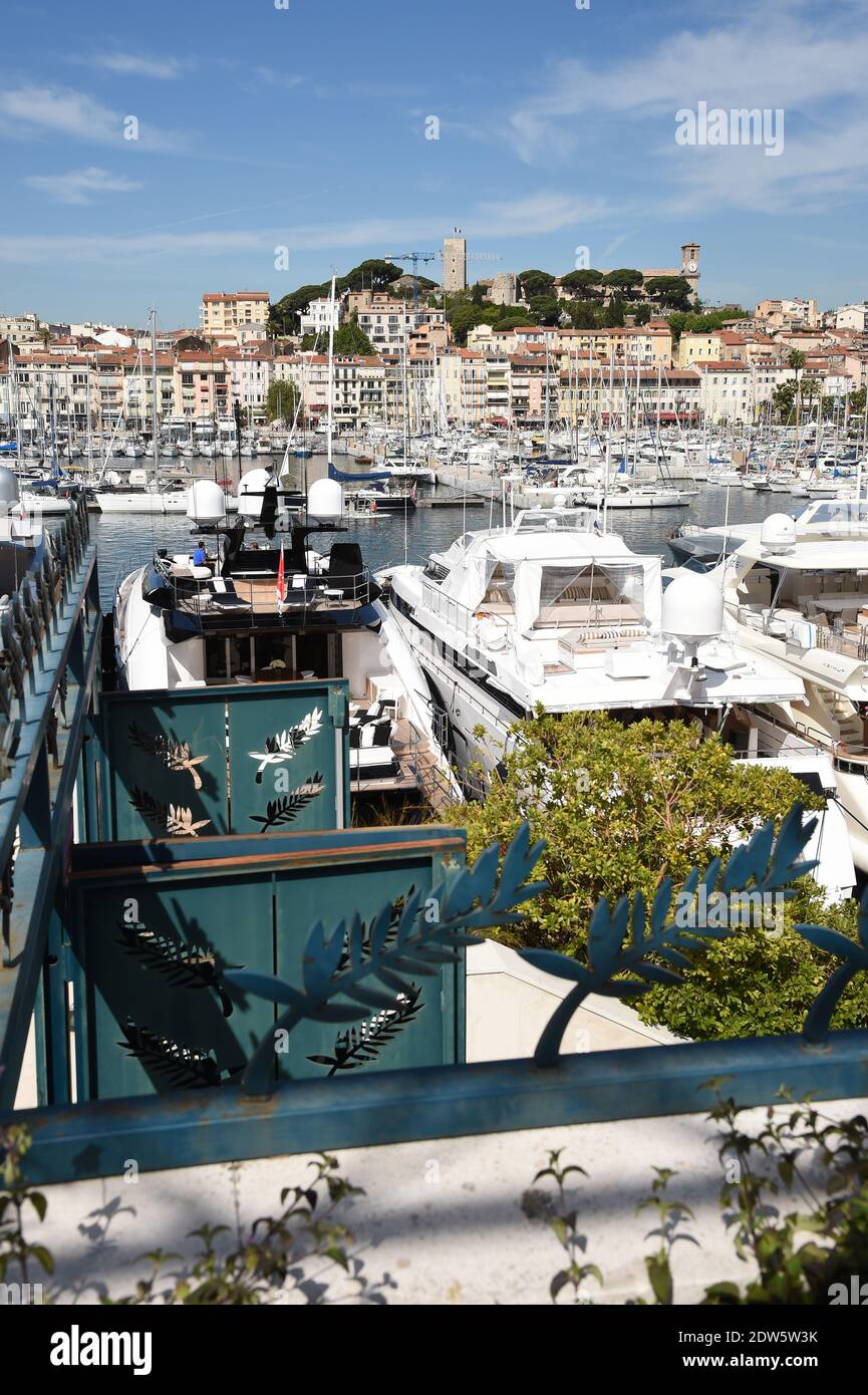 A view of the harbor taken from the roof top of the Palais des ...