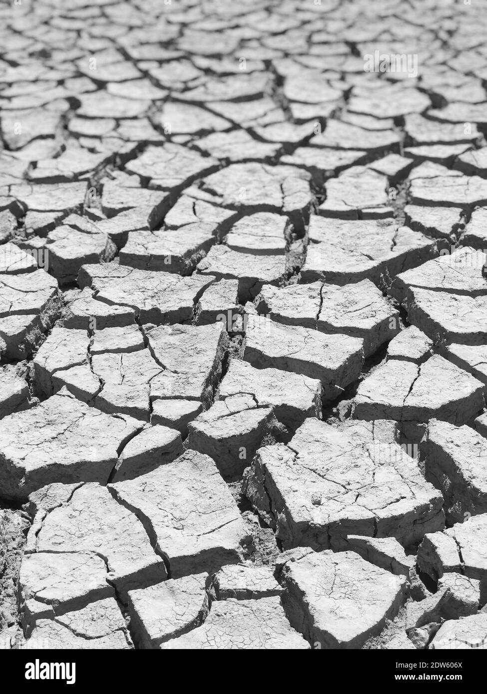 Bombay high field hi-res stock photography and images - Alamy