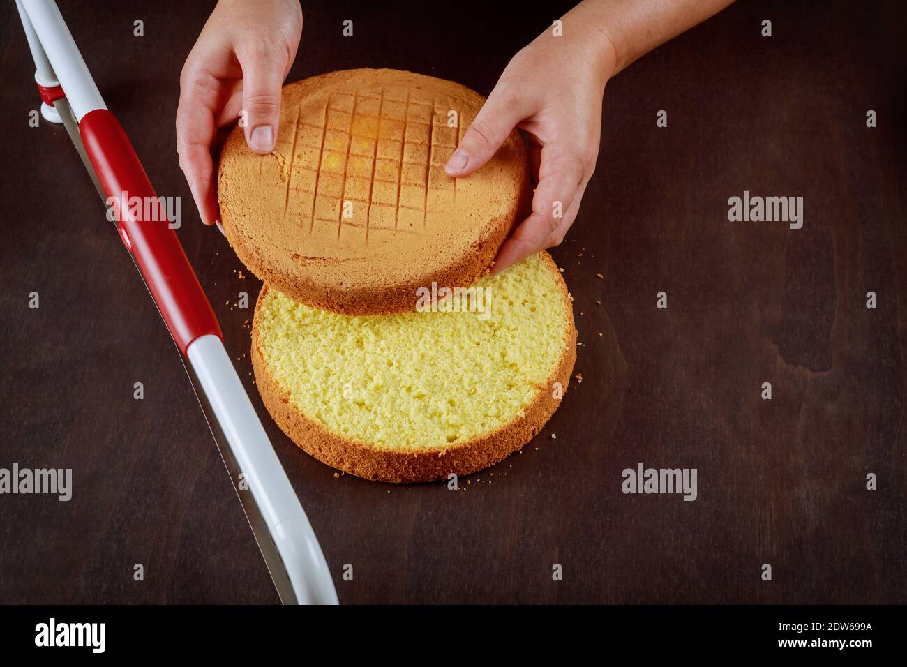 Woman cutting the top of cake with a serrated leveler cake. Making a ...
