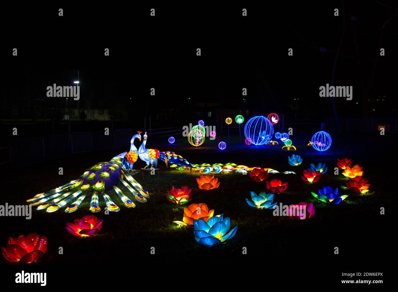 Limanski Park, Novi Sad filled with creative colorful light ...