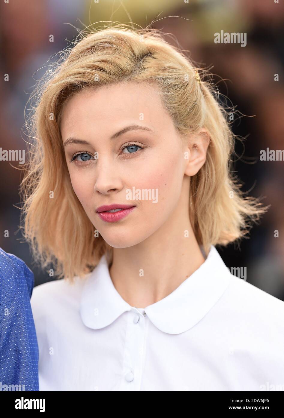 Sarah Gadon at the photocall for the film Maps To The Stars held at the ...