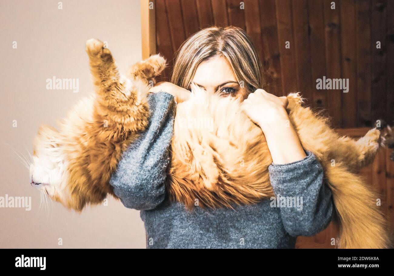 A woman carrying a fluffy ginger cat Stock Photo - Alamy