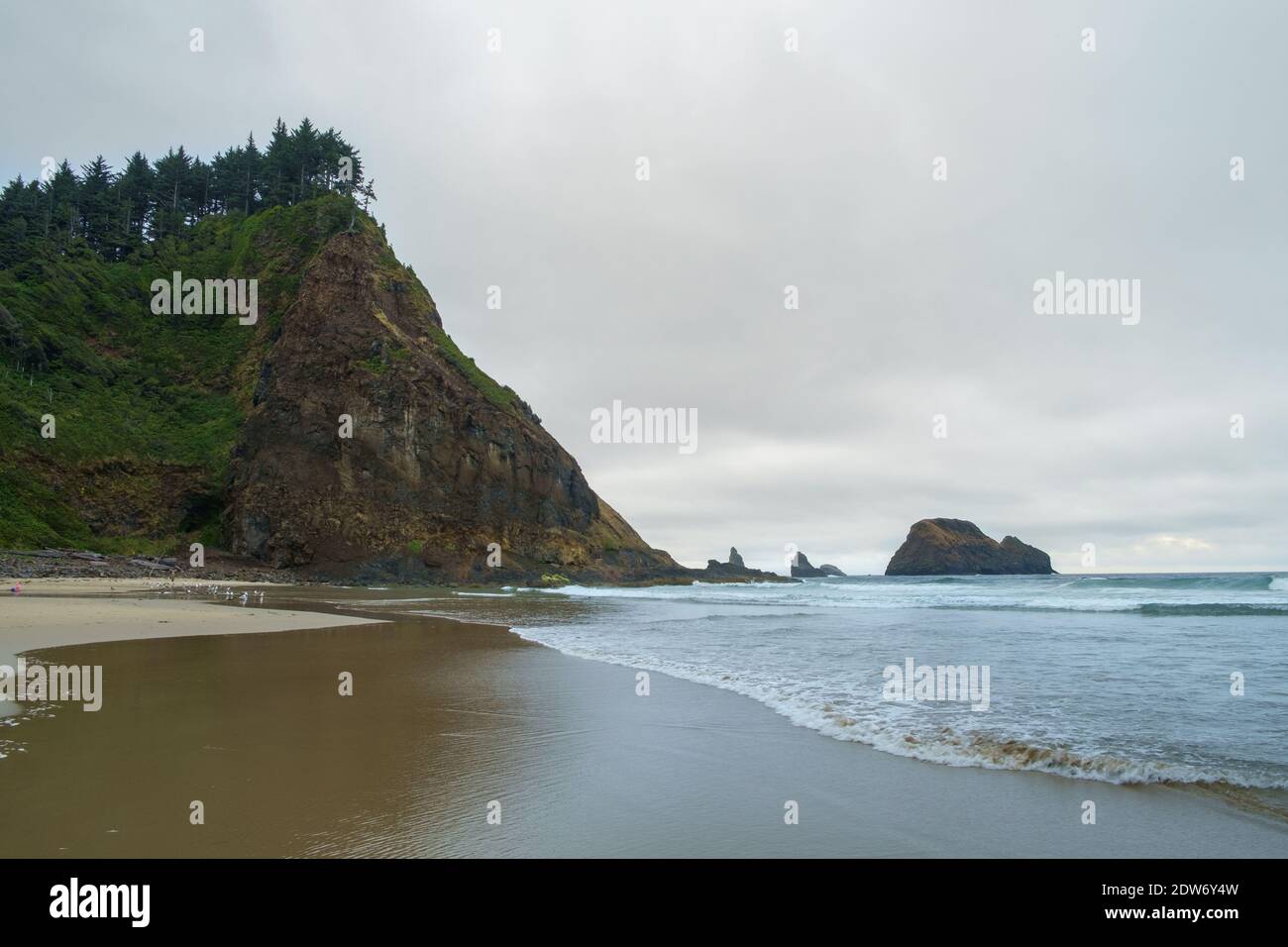 Short Beach, Oregon, Pacific Northwest, USA Stock Photo - Alamy