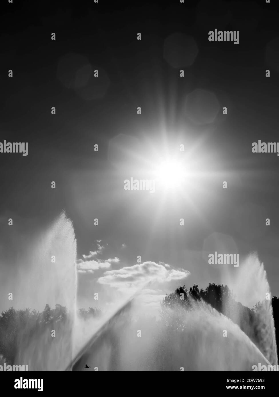 Sky garden urban on Black and White Stock Photos & Images - Alamy